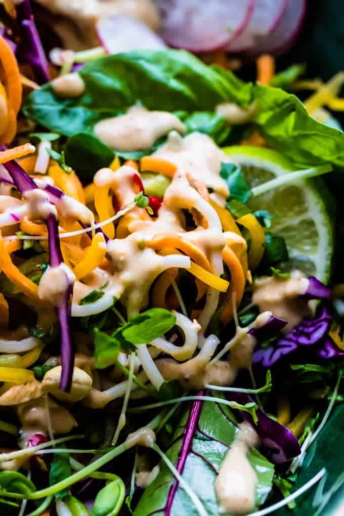 Rainbow Veggie Pad Thai with Cashew Satay Sauce • Salted Mint